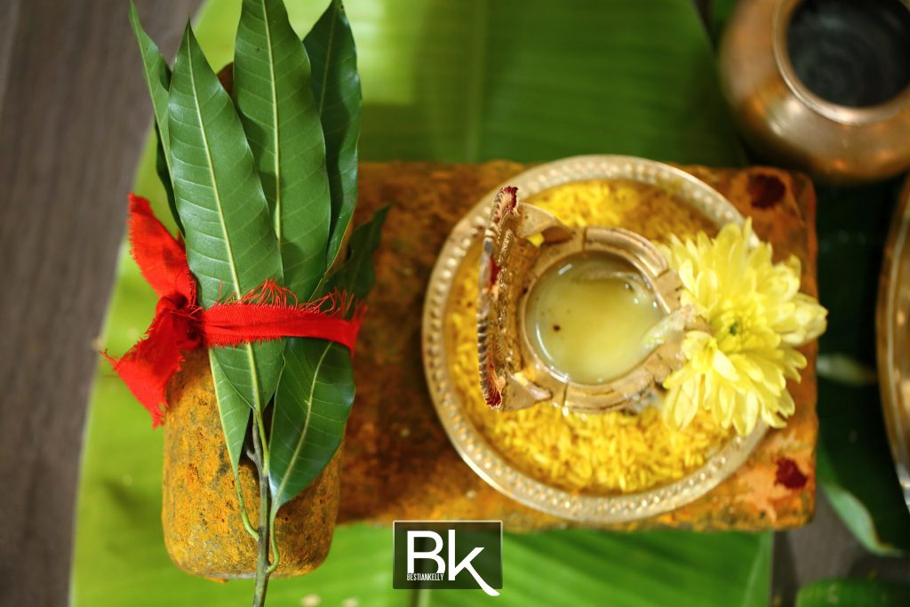 Dilish Wedding BestianKelly | Dilish & Kalavathi